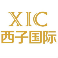 西子国际控股有限公司